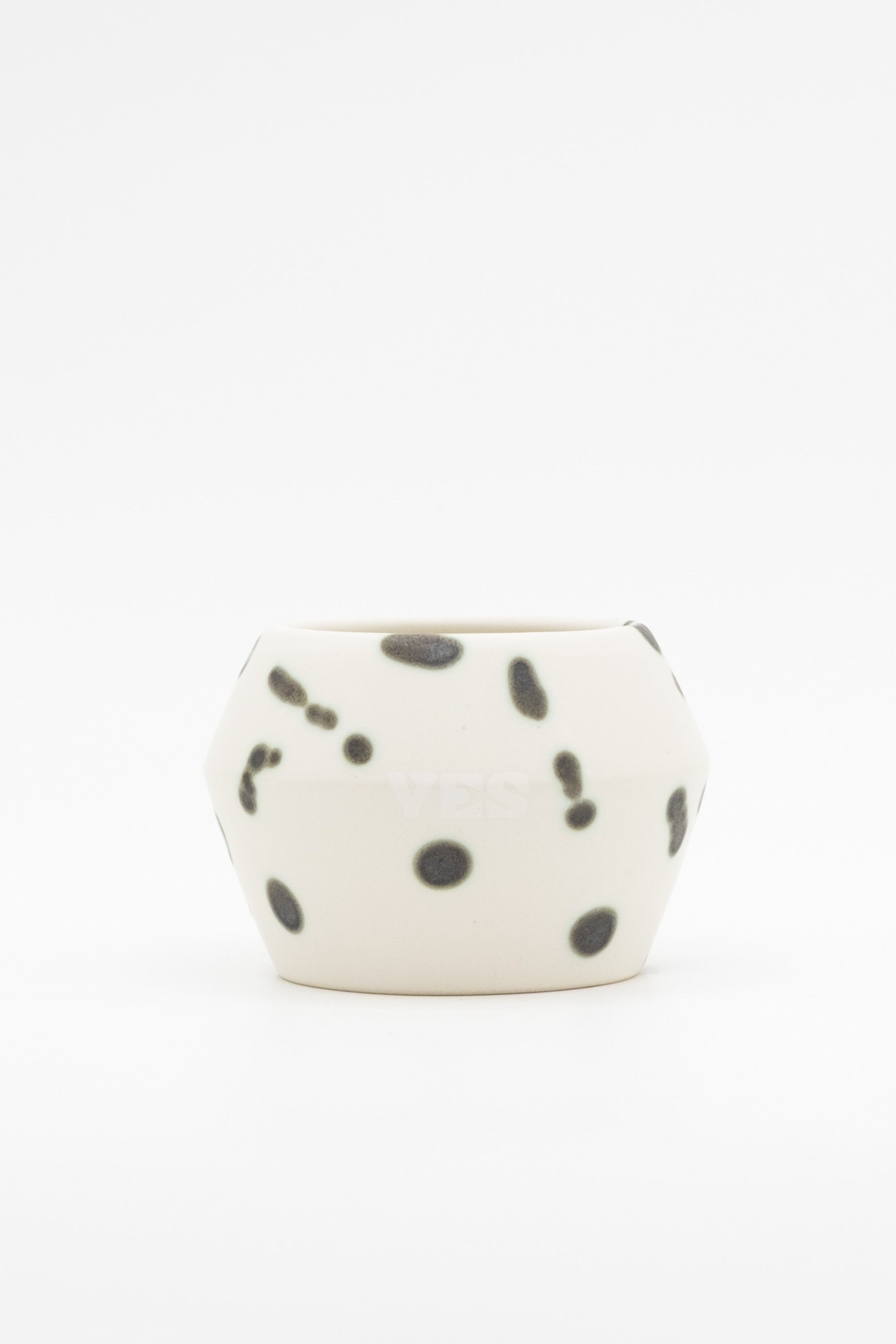 COTEA CUP – YES